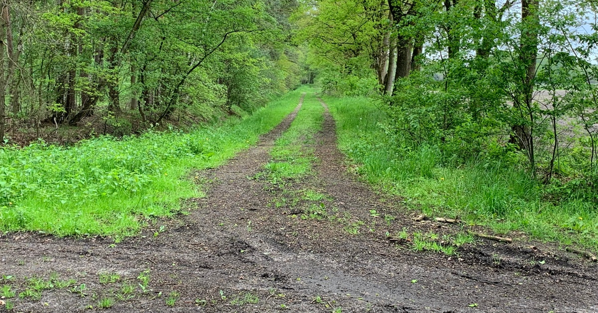 Ausbau vom Rad/Wanderweg zur Verbindung Otternhagen und Scharrel ...