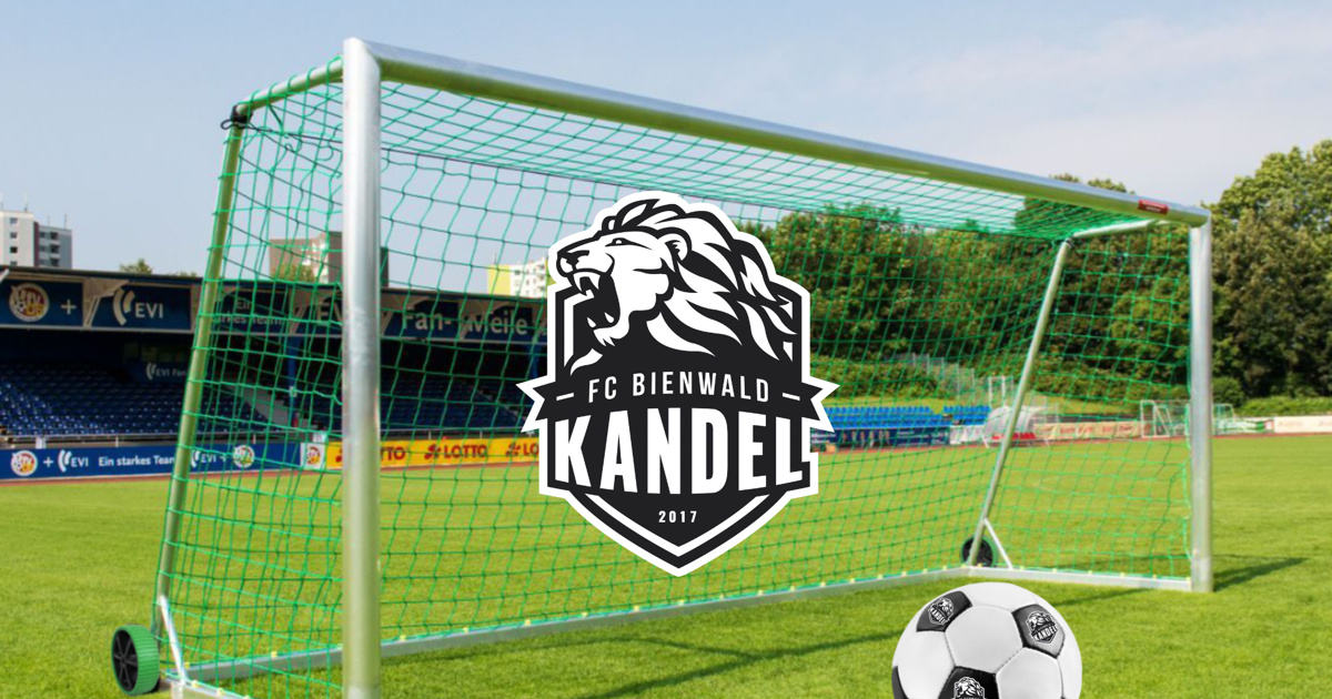 Tore für alle – Neue mobile Tore für den FC Bienwald Kandel - Viele schaffen mehr