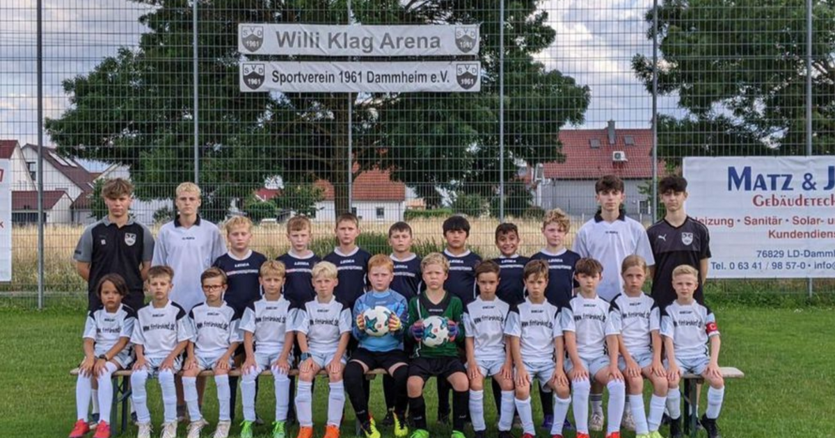 Die Zukunft des SVD gemeinsam gestalten - Viele schaffen mehr