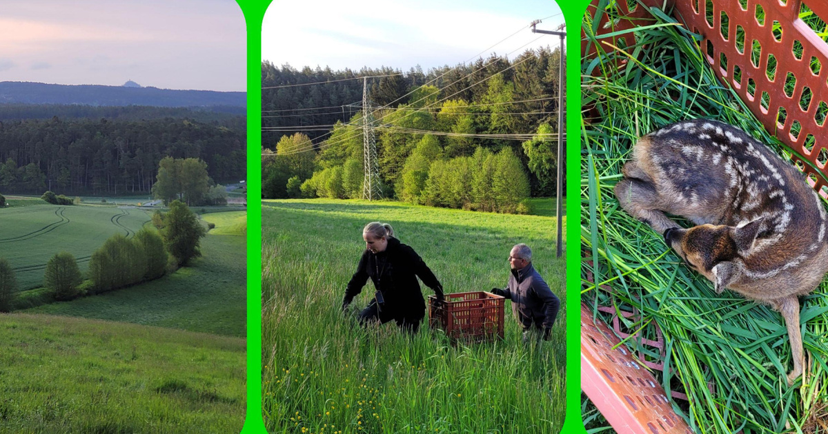 Kitzrettung Prebitz e.V. - Viele schaffen mehr
