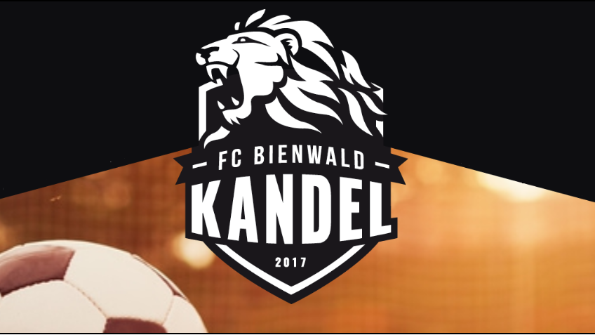 FC Bienwald Jugend - Viele schaffen mehr