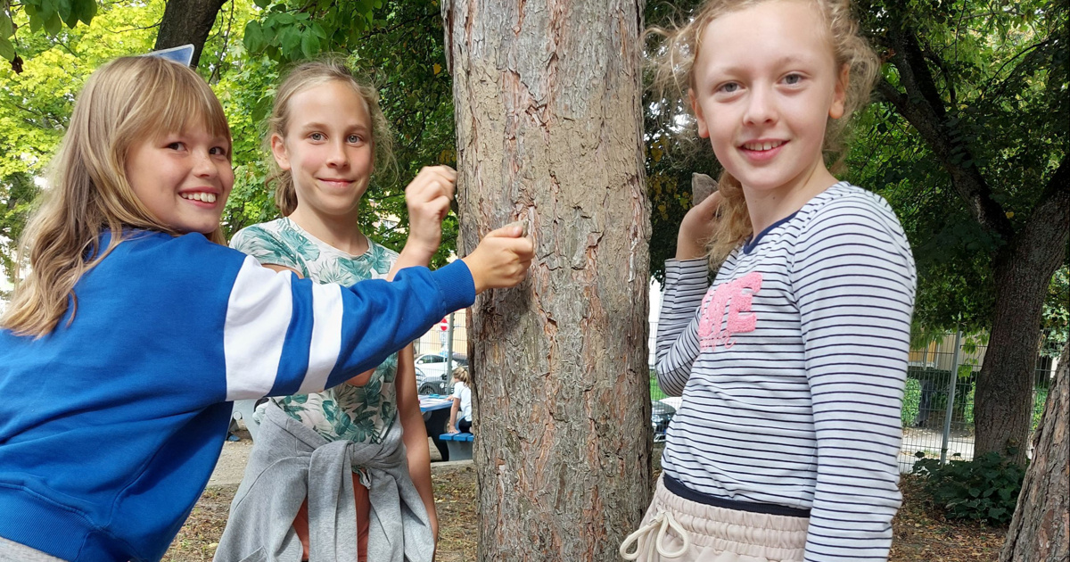 Klangwand für den Hort der Pablo-Neruda-Grundschule - Viele schaffen mehr