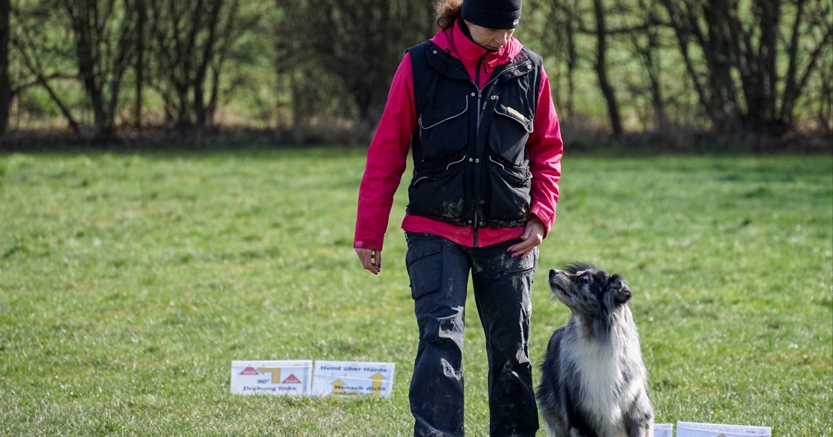 Vulkan Dogs e.V. - Rally Obedience Ausstattung - Viele schaffen mehr